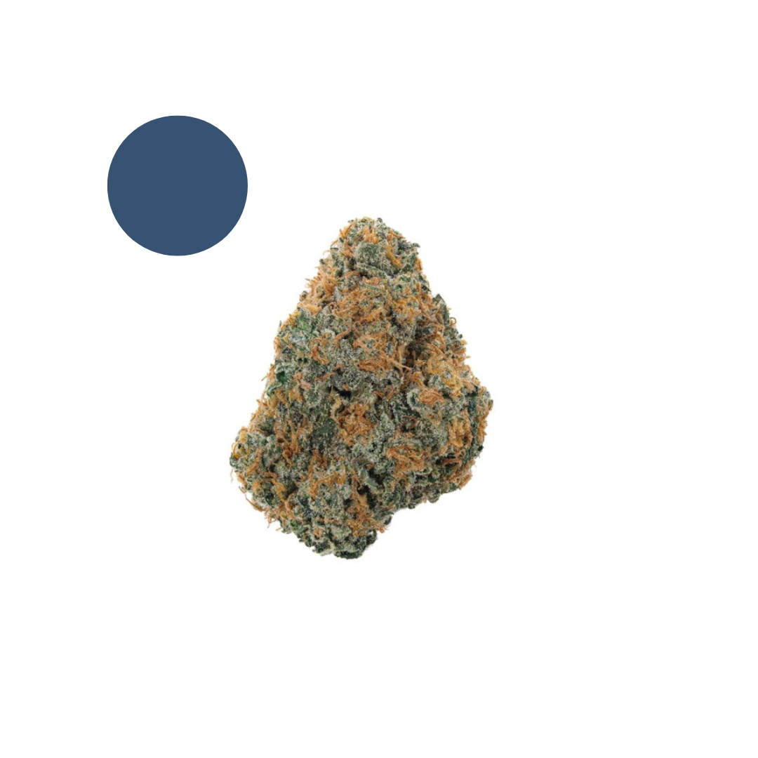 Ice Cream Cake Indica Classic THCA Flower | Blue Flowers