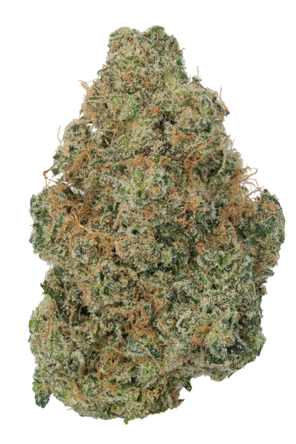 Panama Red Sativa Premium THCA Flower | Blue Flowers